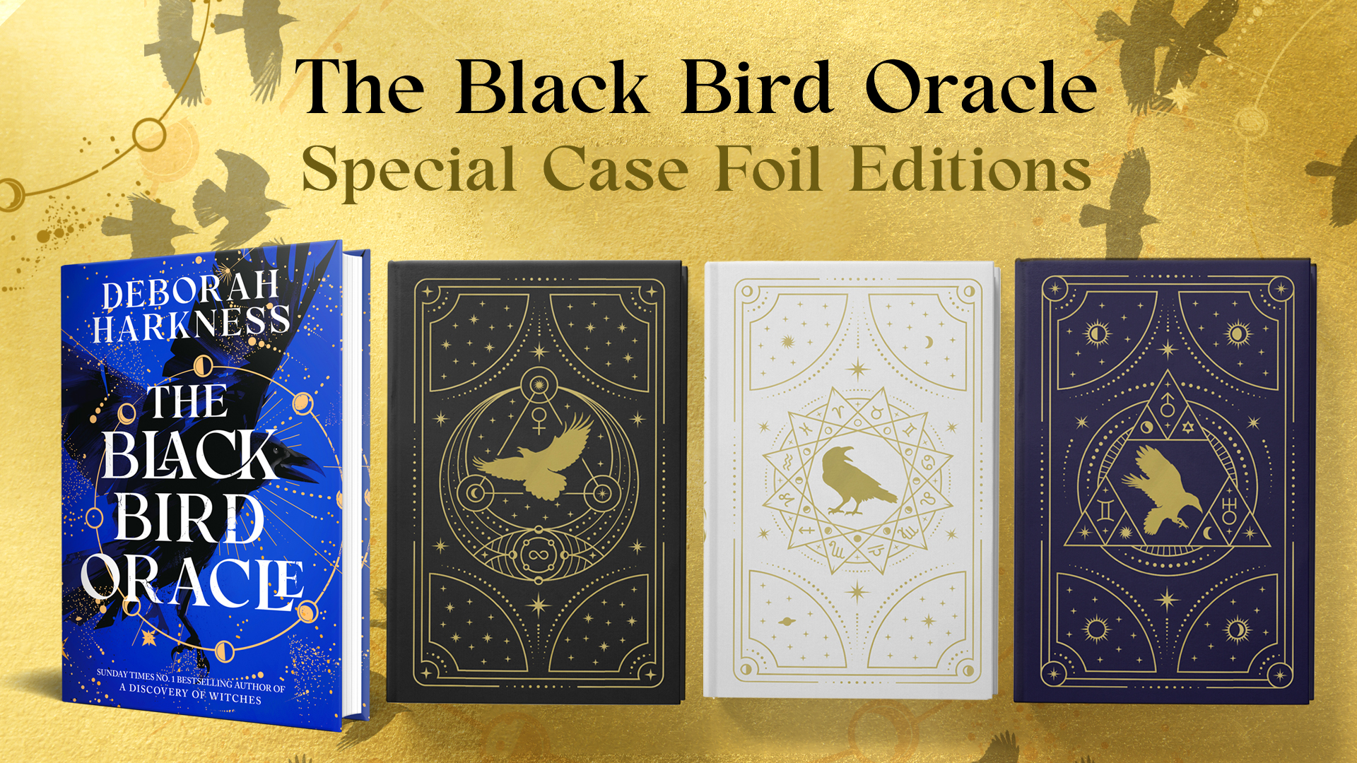 Everything you need to know about The Black Bird Oracle case foil ...